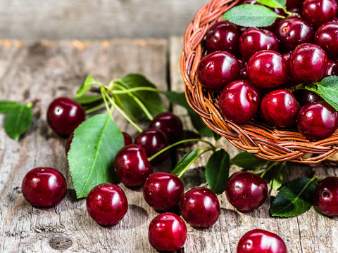 Gout Complex – Pattern Wellness